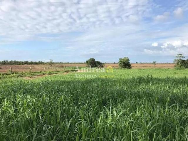 Fazenda para venda em Centro, Porto Alegre do Norte