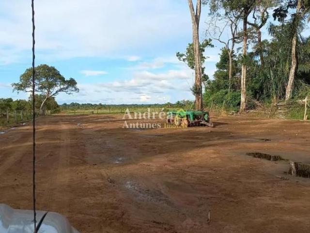 Fazenda para venda em Centro, Porto Alegre do Norte