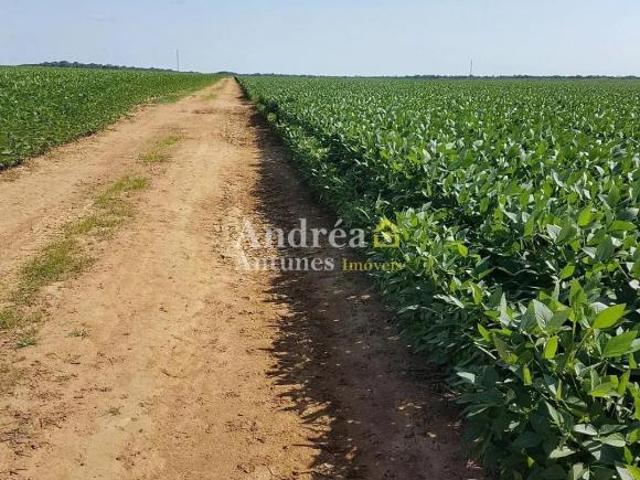 Fazenda para venda em Centro, Porto Alegre do Norte
