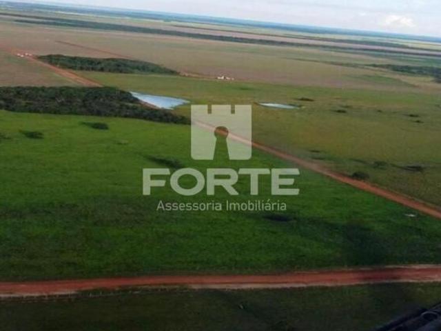 Fazenda para venda em Centro, Porto Alegre do Norte