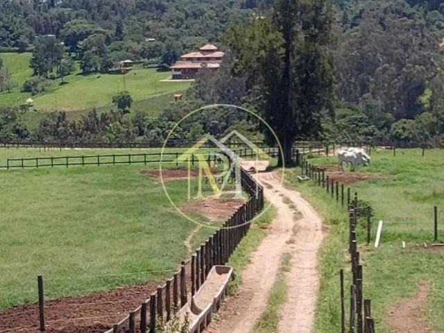 Fazenda para venda em Centro, Porto Feliz
