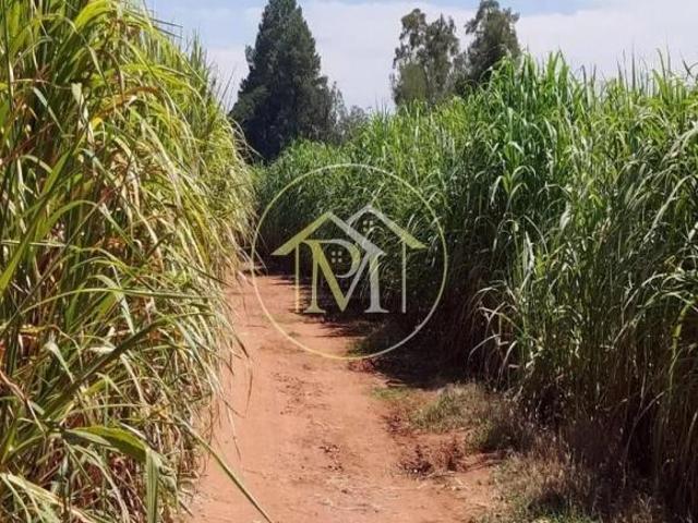 Fazenda para venda em Centro, Porto Feliz