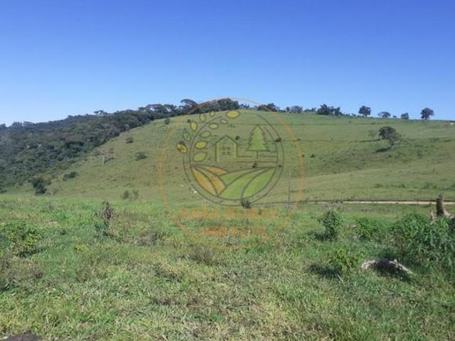 Fazenda para venda em Centro, Pouso Alegre