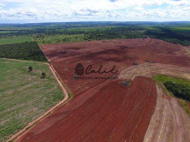Fazenda para venda em Centro, Prata