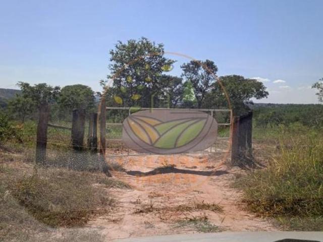 Fazenda para venda em Centro, Presidente Olegário