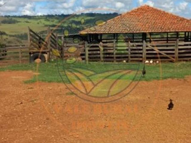 Fazenda para venda em Centro, Presidente Olegário