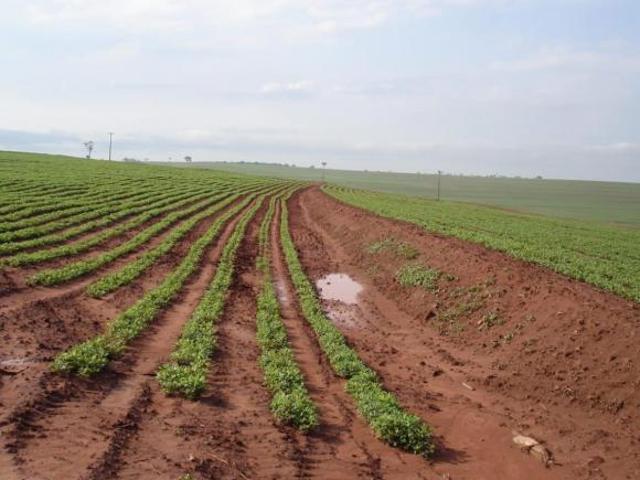 Fazenda para venda em Centro, Presidente Prudente