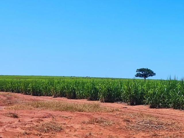 Fazenda para venda em Centro, Presidente Venceslau