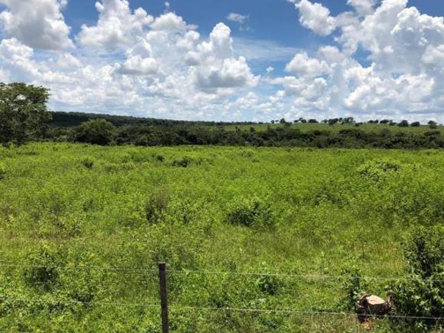 Fazenda para venda em Centro, Primavera do Leste