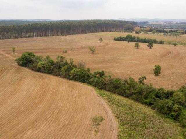 Fazenda para venda em Centro, Quadra