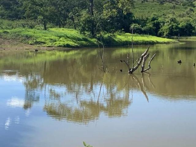 Fazenda para venda em Centro, Ruralminas