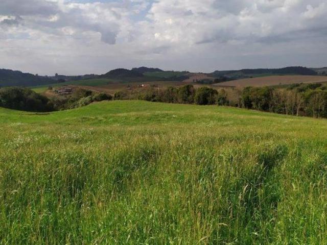 Fazenda para venda em Centro, Renascença
