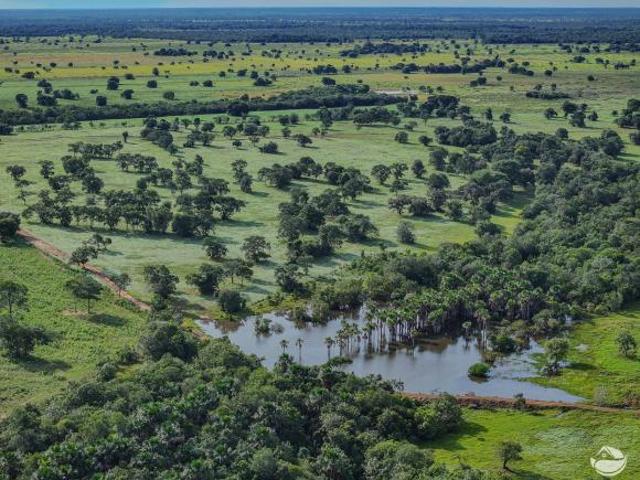 Fazenda para venda em Centro, Ribas do Rio Pardo