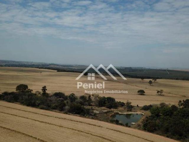 Fazenda para venda em Centro, Ribeirão Bonito