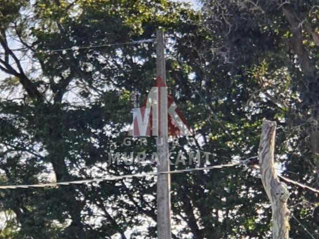 Fazenda para venda em Centro, Rio Verde de Mato Grosso