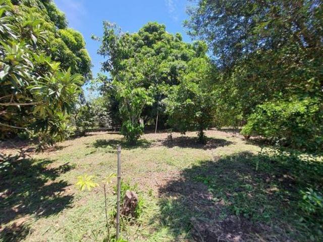 Fazenda para venda em Centro, Rio das Pedras