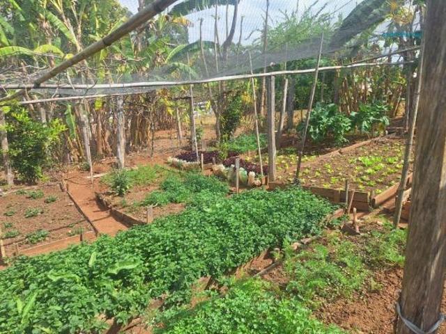 Fazenda para venda em Centro, São Tiago