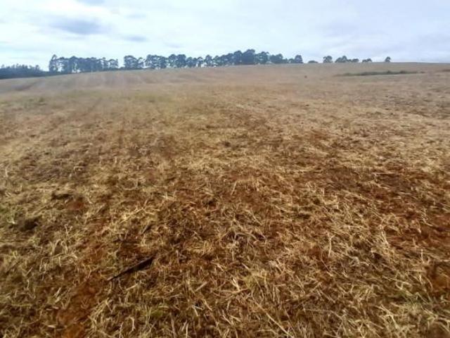 Fazenda para venda em Centro, São Vicente de Minas