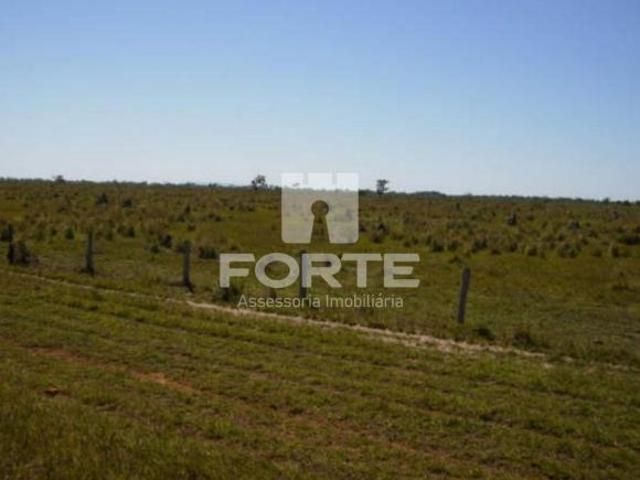 Fazenda para venda em Centro, São Félix do Araguaia