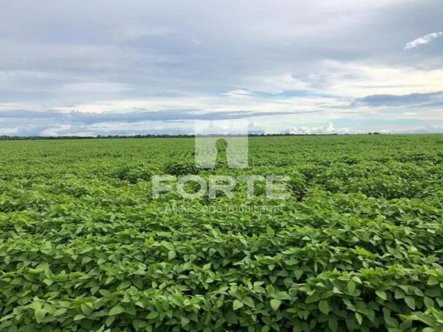 Fazenda para venda em Centro, São Félix do Araguaia