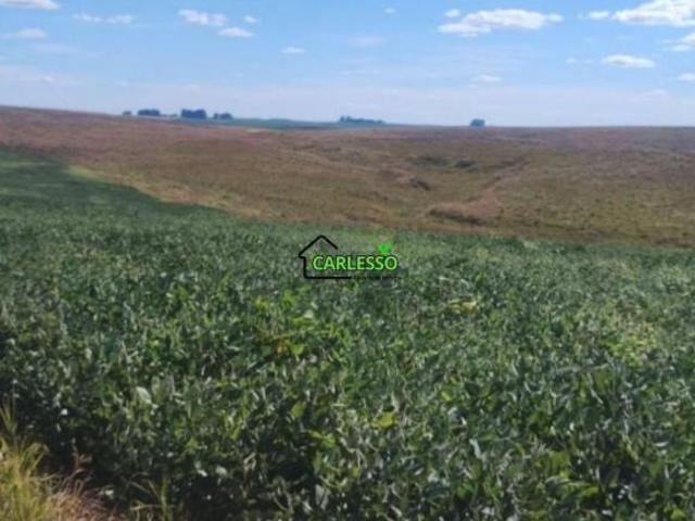 Fazenda para venda em Centro, São Gabriel