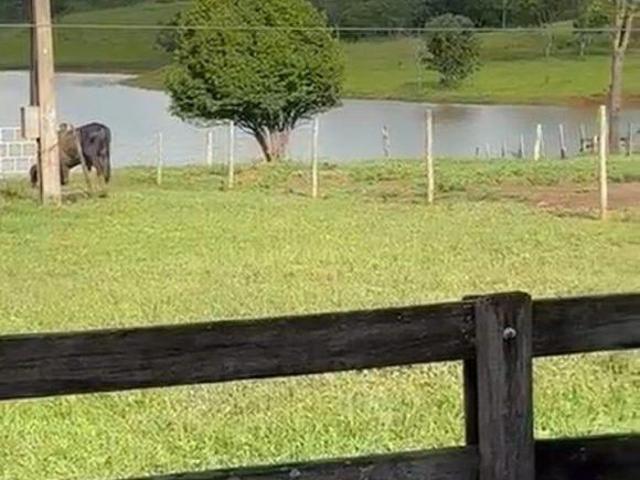 Fazenda para venda em Centro, São Gonçalo do Abaeté