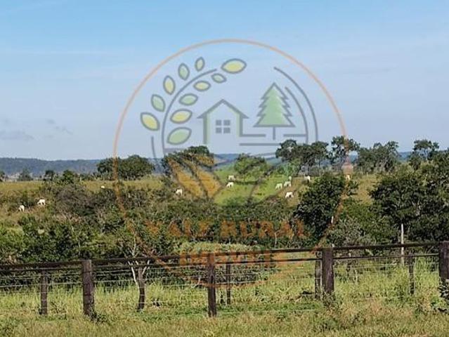 Fazenda para venda em Centro, São Gonçalo do Abaeté