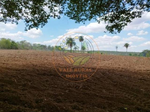 Fazenda para venda em Centro, São Gonçalo do Abaeté
