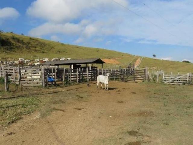 Fazenda para venda em Centro, São Gonçalo do Sapucaí