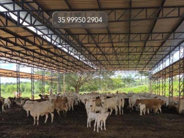 Fazenda para venda em Centro, São Gonçalo do Sapucaí