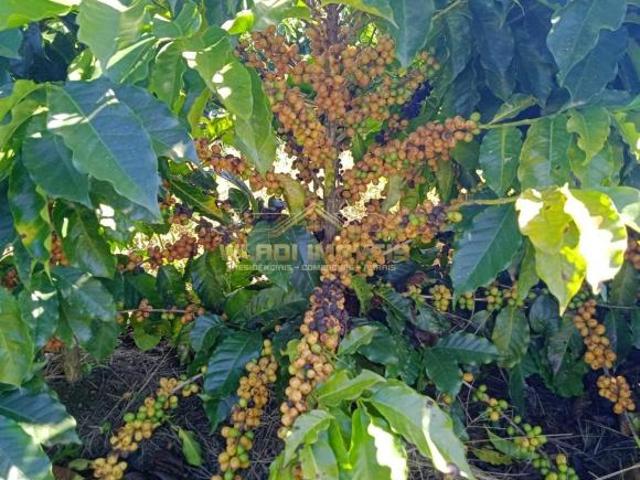 Fazenda para venda em Centro, São Gonçalo do Sapucaí