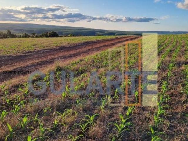 Fazenda para venda em Centro, São Jerônimo