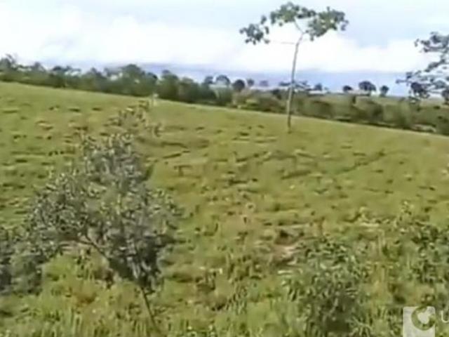 Fazenda para venda em Centro, São João do Pacuí