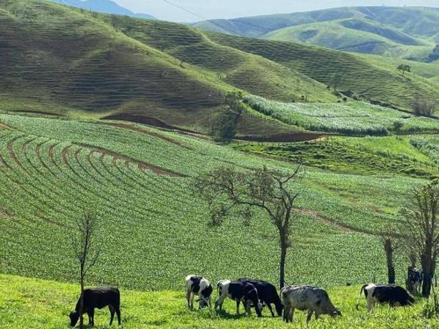 Fazenda para venda em Centro, São José do Barreiro
