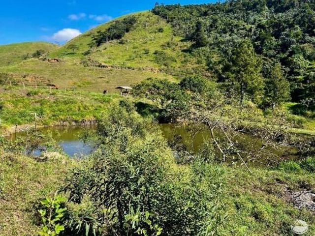 Fazenda para venda em Centro, São José do Barreiro