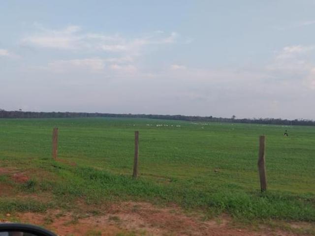 Fazenda para venda em Centro, São José do Rio Claro