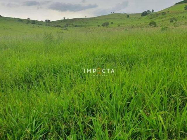 Fazenda para venda em Centro, São Lourenço
