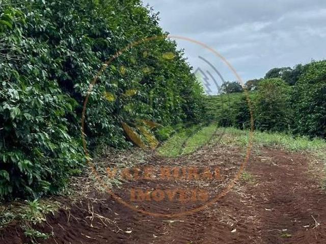 Fazenda para venda em Centro, São Lourenço