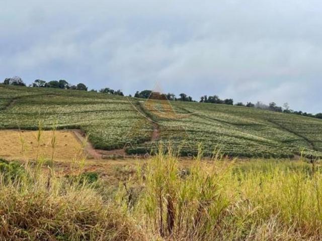 Fazenda para venda em Centro, São Lourenço