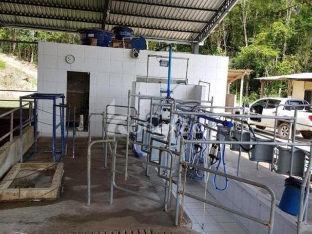 Fazenda para venda em Centro, São Luiz do Paraitinga