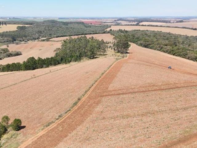Fazenda para venda em Centro, São Miguel Arcanjo