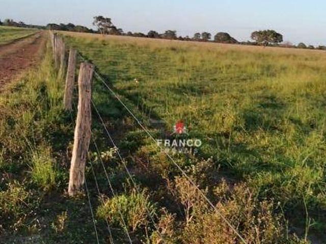 Fazenda para venda em Centro, São Miguel do Araguaia