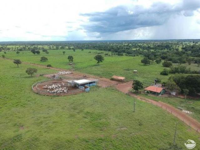 Fazenda para venda em Centro, São Miguel do Araguaia