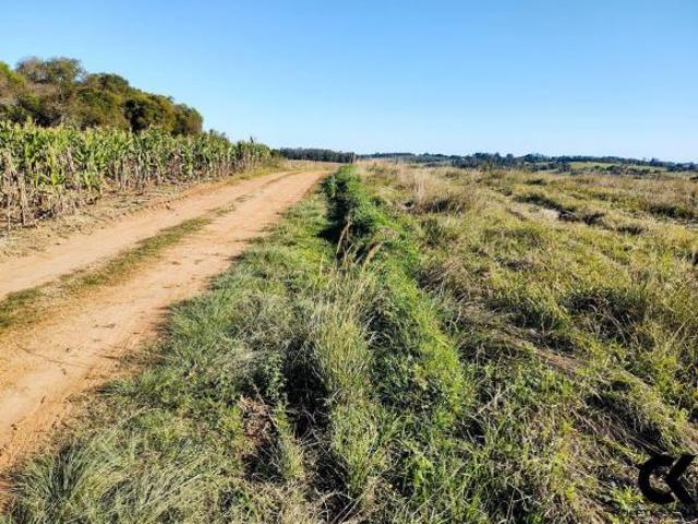 Fazenda para venda em Centro, São Sepé