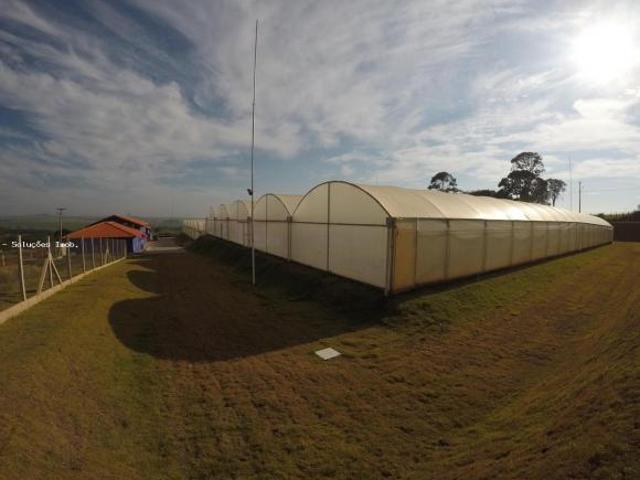 Fazenda para venda em Centro, São Simão