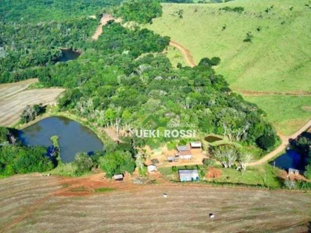 Fazenda para venda em Centro, Santa Maria do Oeste