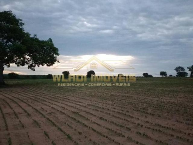 Fazenda para venda em Centro, Santa Fé de Minas