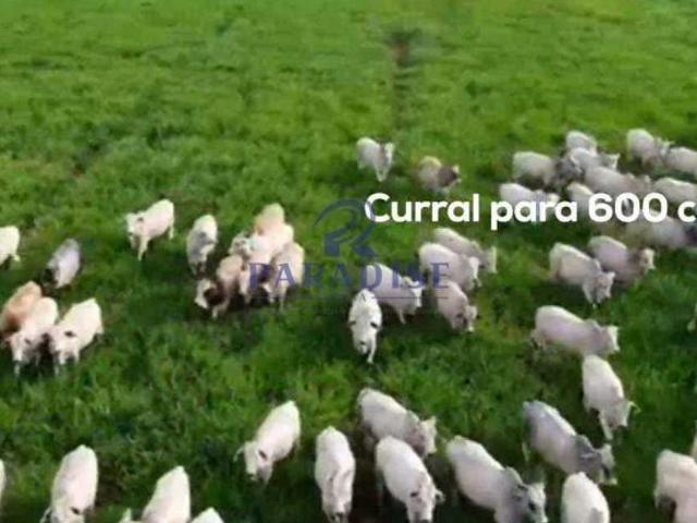 Fazenda para venda em Centro, Santa Helena de Goiás
