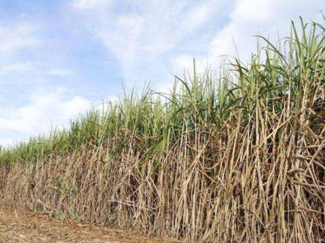 Fazenda para venda em Centro, Santa Rita do Passa Quatro