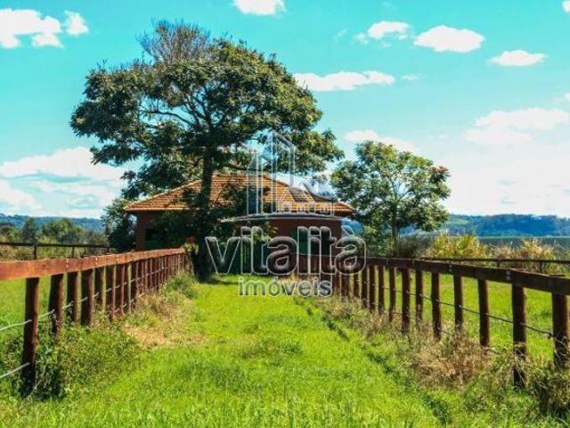 Fazenda para venda em Centro, Santa Rosa de Viterbo